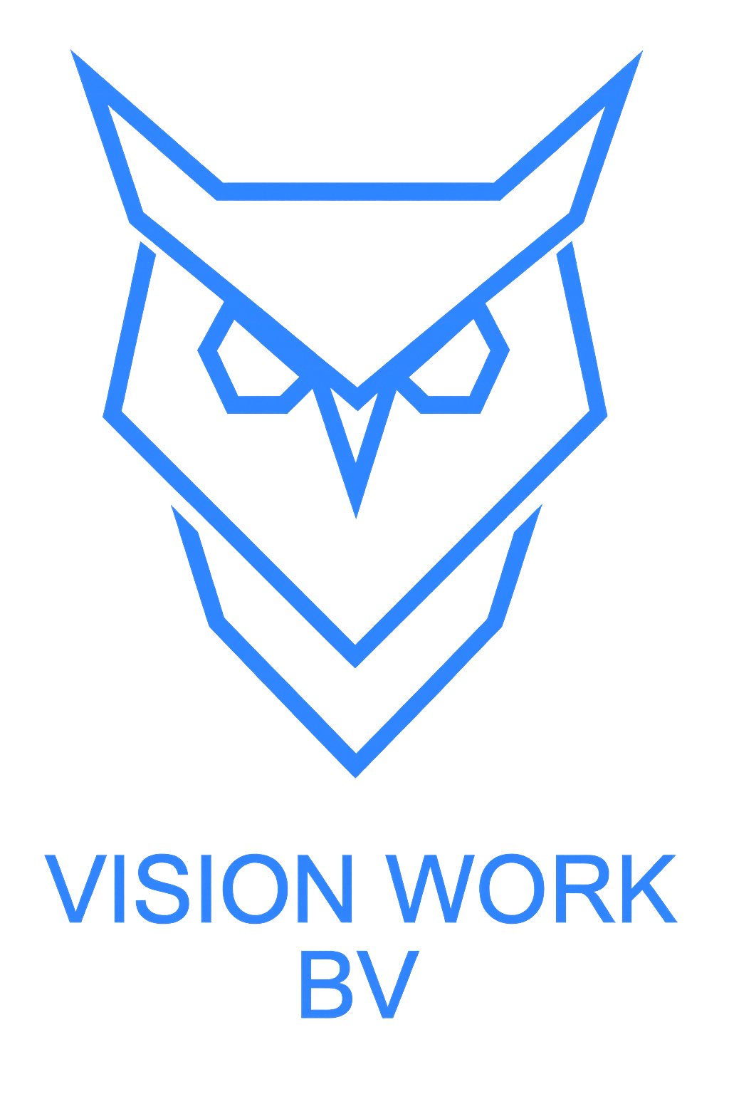 Vision Work B.V. | Strategic & Commercial Consulting